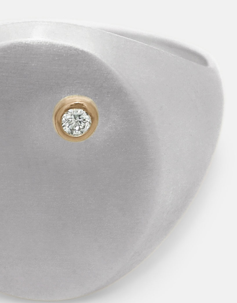 The Mixed Metal Capsule | Anna Sheffield